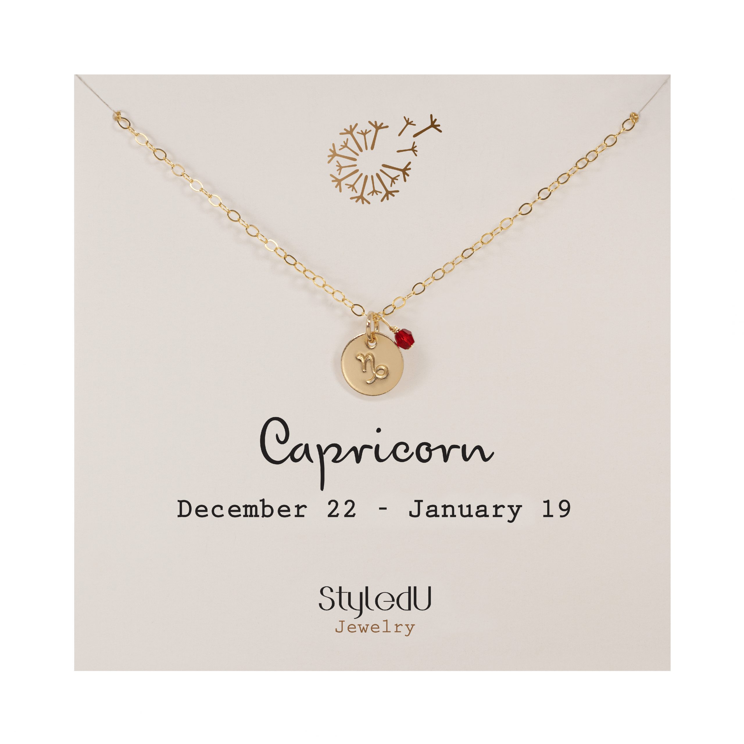 Zodiac sign necklace capricorn store